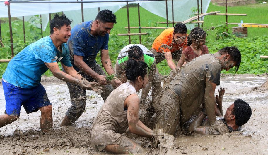 दही च्यूरा खाएर देशभर मनाइयो असार १५ - Pokhara News